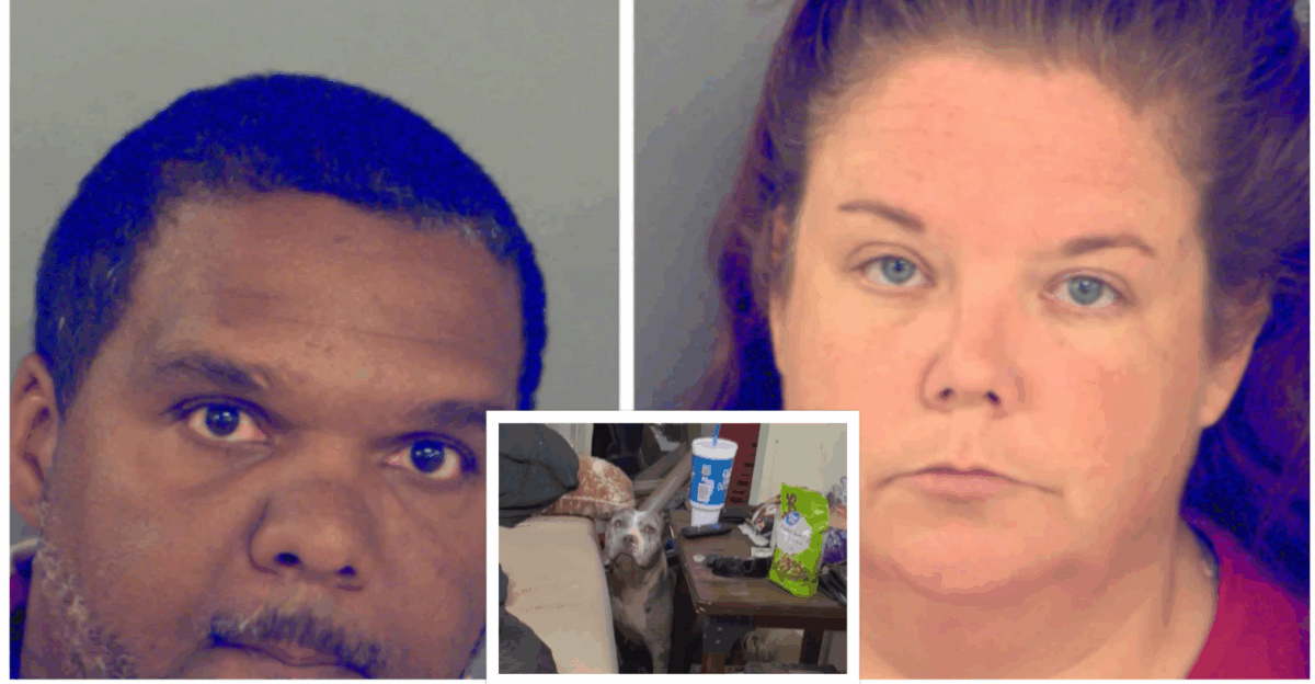 Over 25 Dogs 'Distressed' Dogs Rescued from Squalid Conditions ...