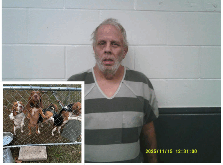 Discovery of Dead, Starving Beagles Leads to Arrest of Missouri Man ...