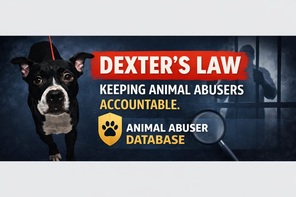 Florida Launches Animal Abuser Database Under Dexter’s Law - National ...