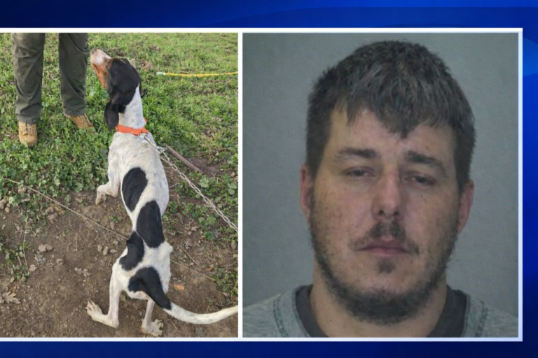 Man Arrested After Discovery of Starved, Neglected Animals - National ...