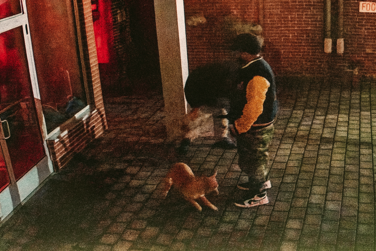 Two Men Abandon Caged Dog Outside Animal Shelter in the Cold - National ...