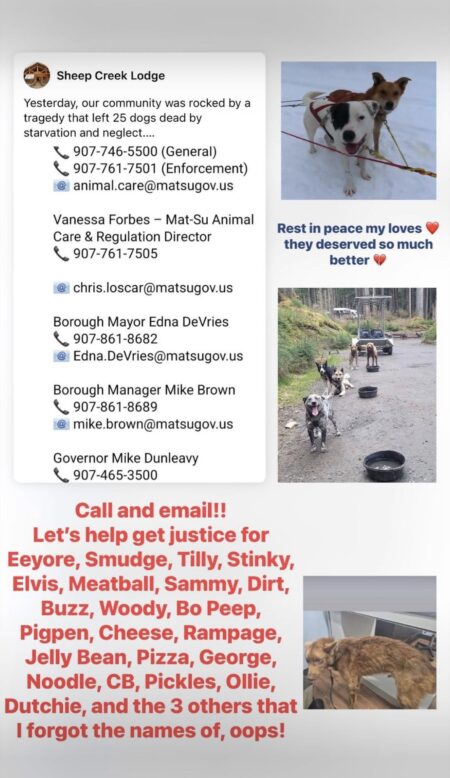 25 Sled Dogs Starved To Death While Animal Control Ignored Dire ...